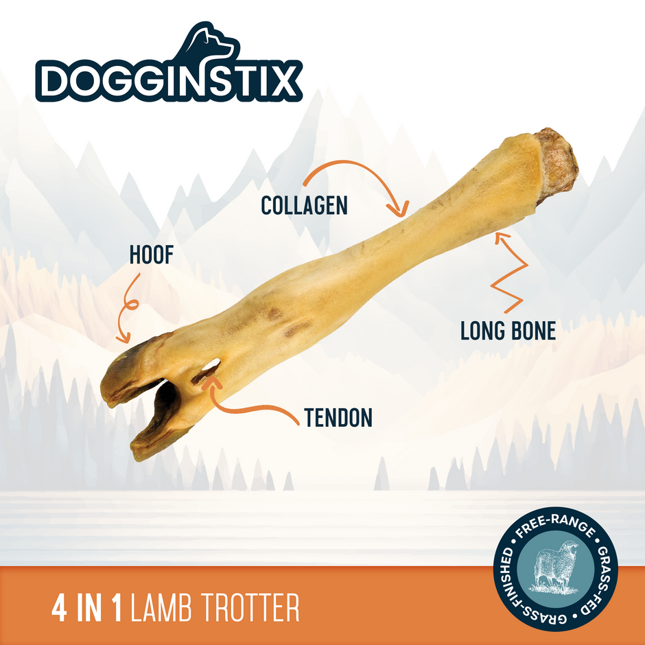 Dogginstix