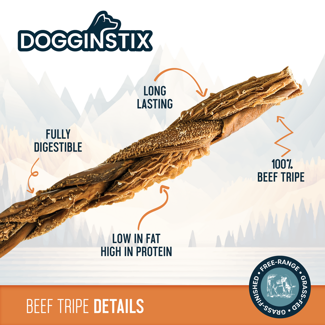 Beef Tripe for Dogs – Grain Free Puppy Chews in 6”, 12”, 24” Sizes for ...