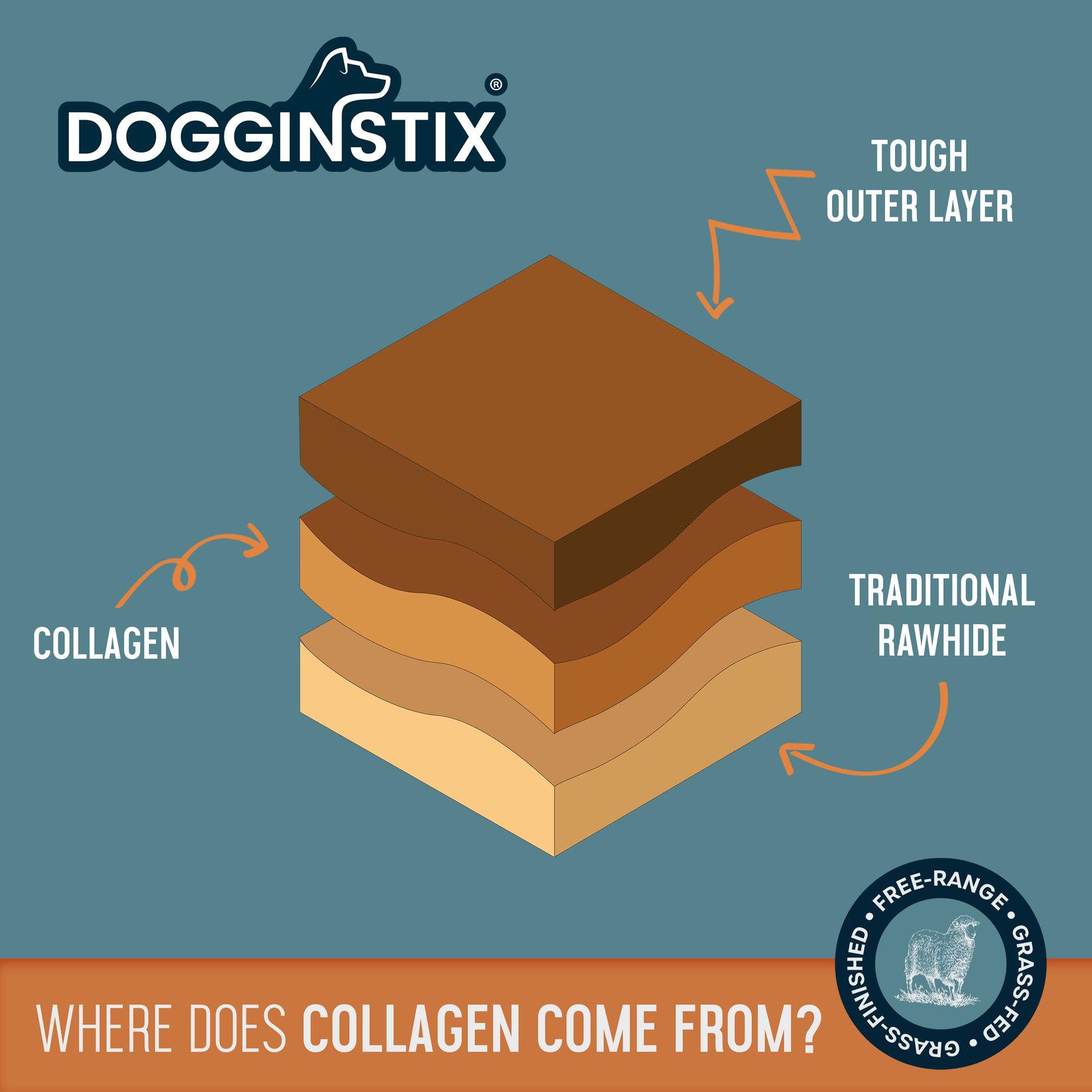 Buy Lamb Collagen Twist 12”– Case of 25 – Promotes Shiny Coat – Dogginstix