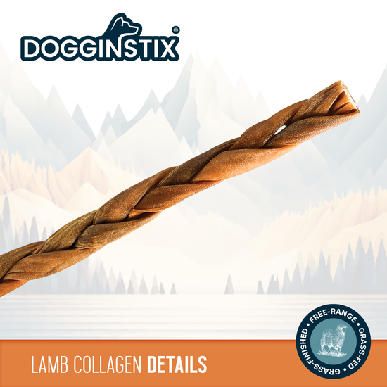 Buy Braided Lamb Collagen 6" for Dogs – Case of 45 – Natural and ...